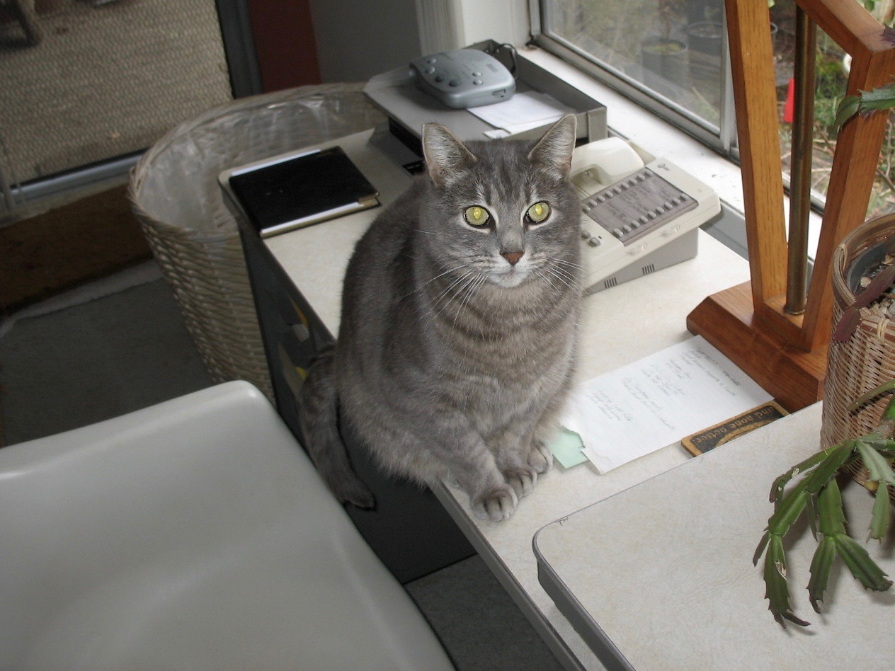 Rudy | Gary R. Carlson, MD, College of Veterinary Medicine | Oregon ...