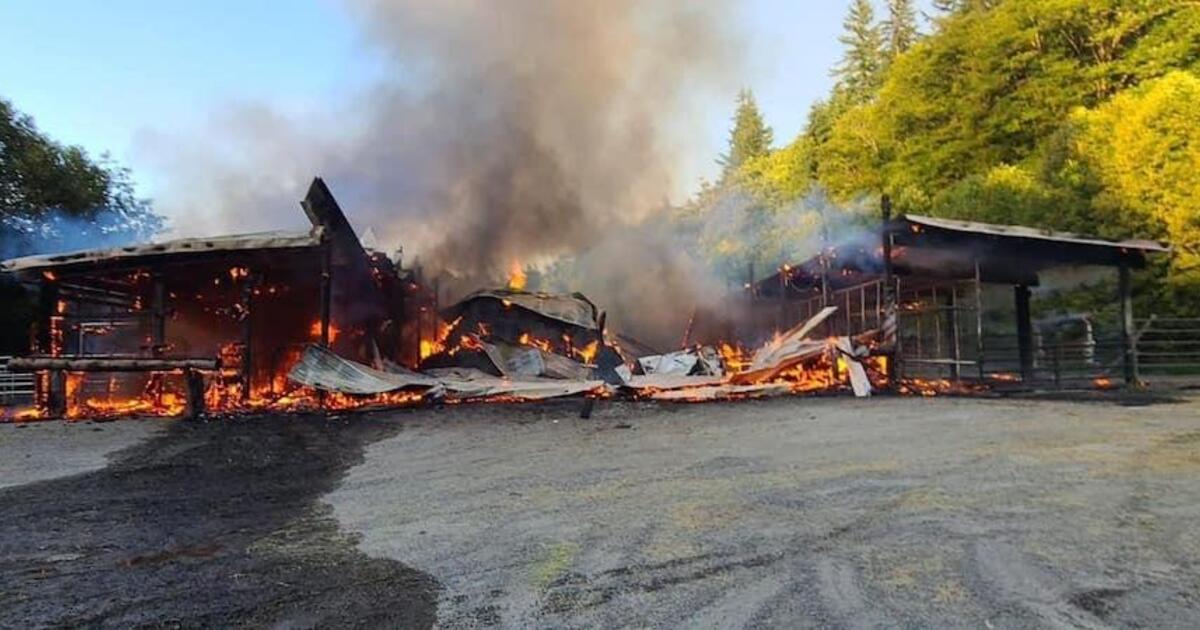 ‘Village of a care team’ saves vaulting horse after barn fire burns ...