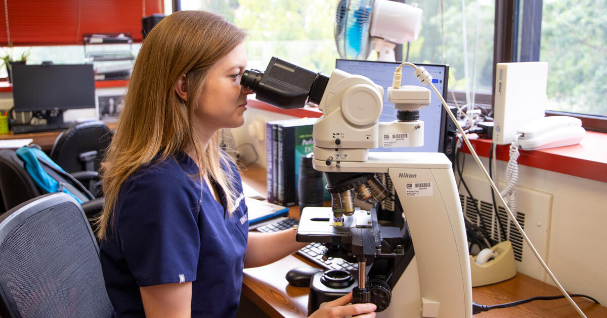 Path to pathologist: Residency program trains disease detectives | Gary R. Carlson, MD, College ...