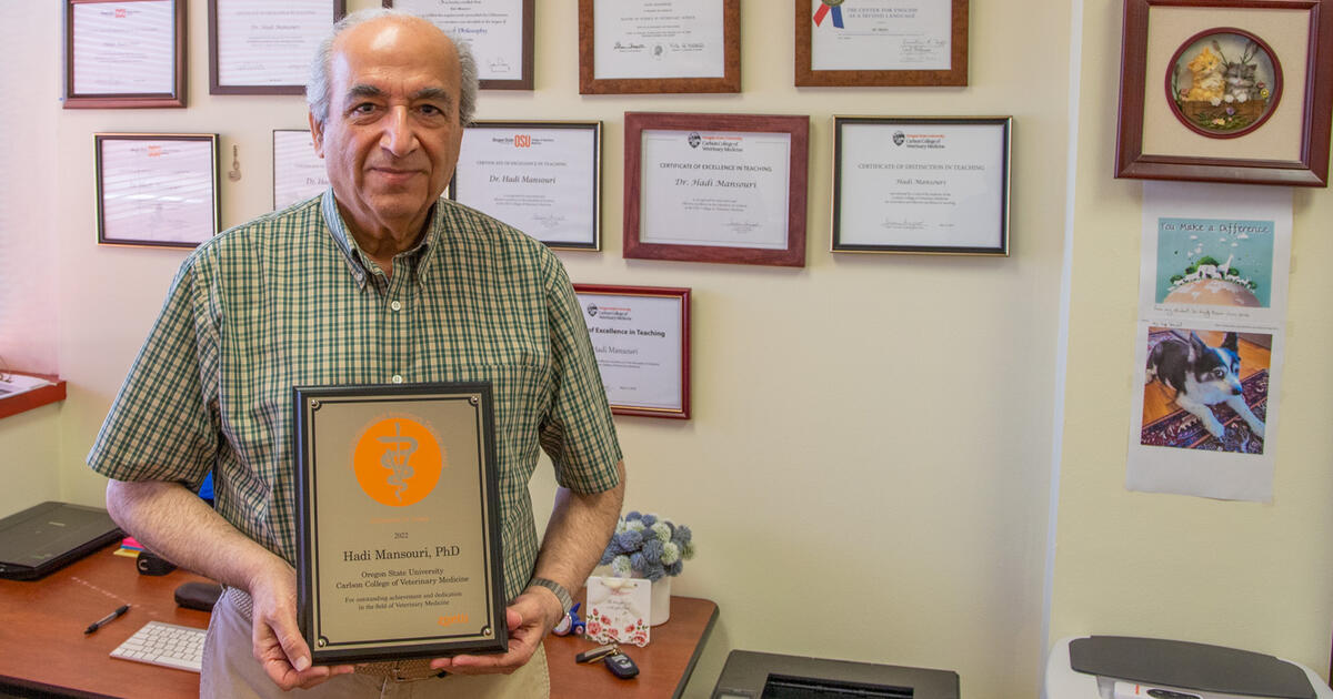 ‘Raising us as the best doctors we can be’: Dr. Hadi Mansouri wins top ...