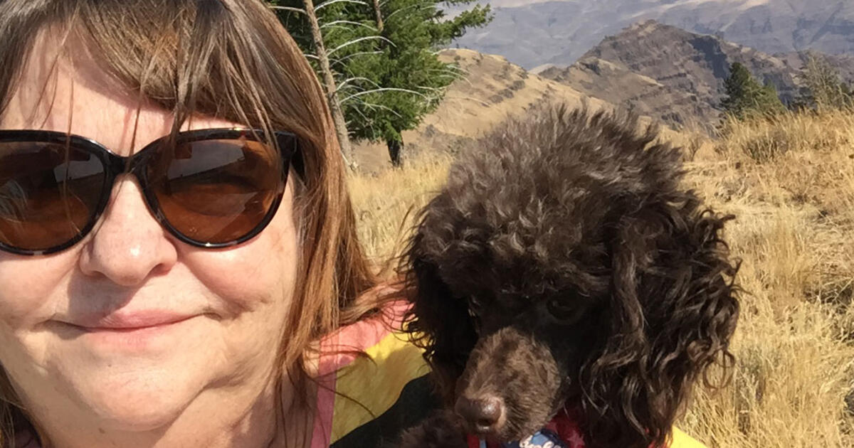 A vet tech, a miniature poodle and the folk music that brought them ...
