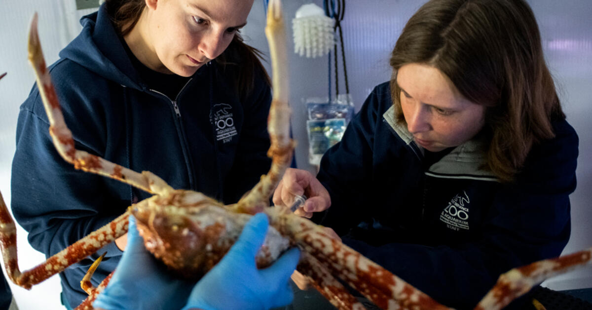 Just another ‘no typical day’ as a zoo vet | Gary R. Carlson, MD ...