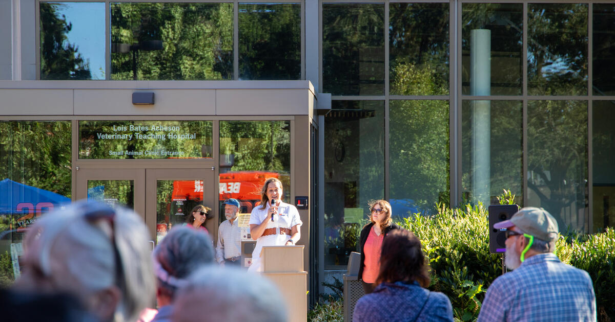 Veterinary teaching hospital celebrates 20 years of small animal care ...